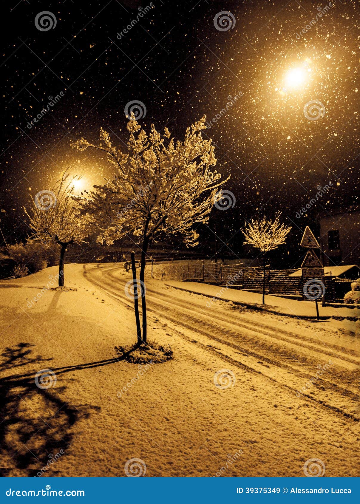 Street with Trees, Lights and Snowflakes Stock Image - Image of weather ...