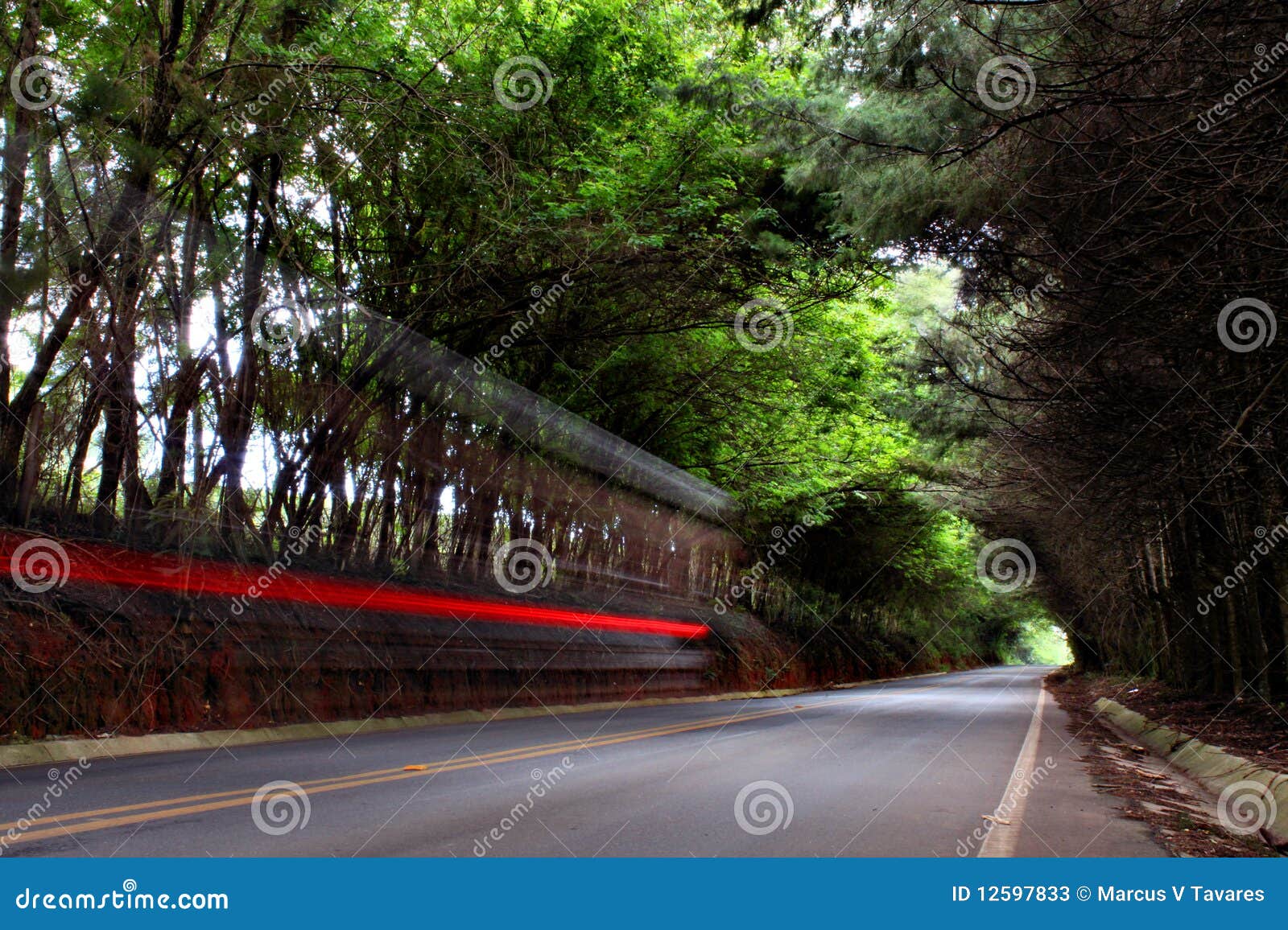 A Street among Trees with a Motorcycle Trace Stock Image - Image of ...