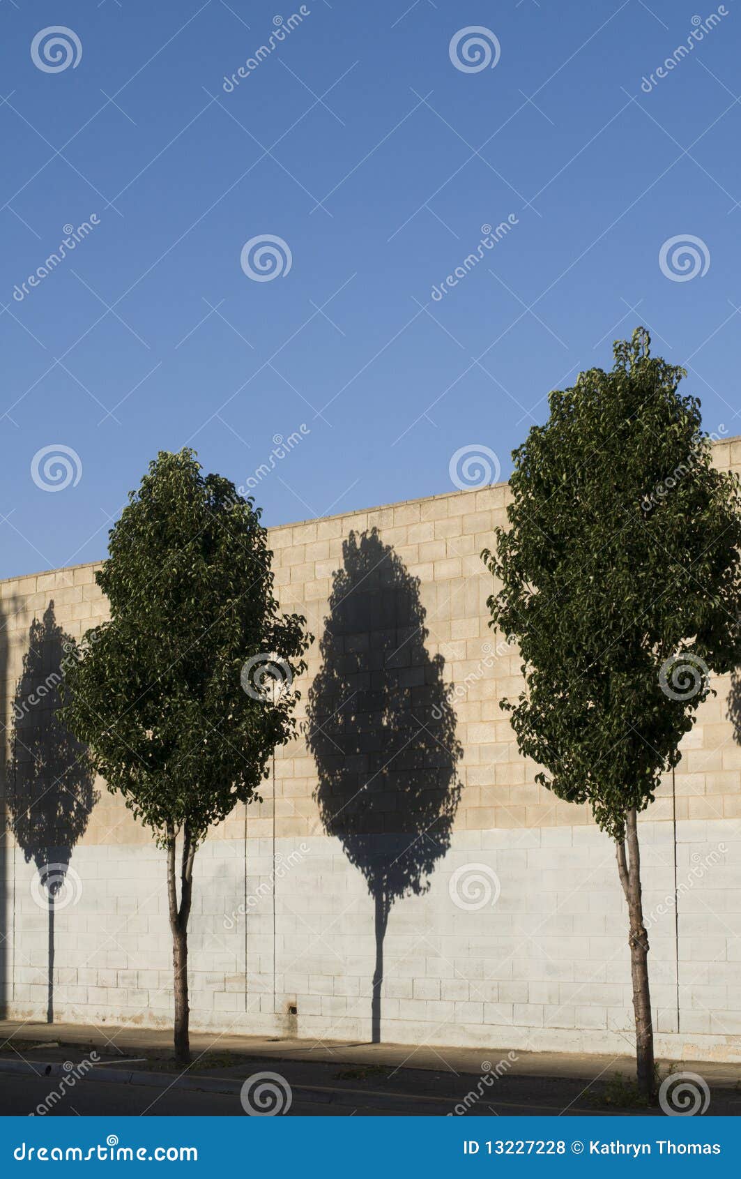 Street Trees Outside Factory Wall Stock Photo - Image of factory ...