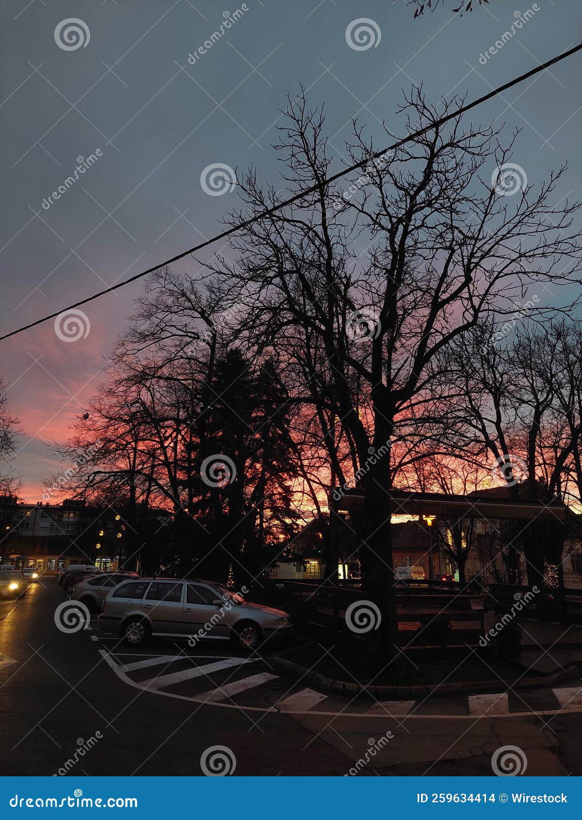 Street View with Bare Autumn Trees in the Vibrant Sunset Background ...
