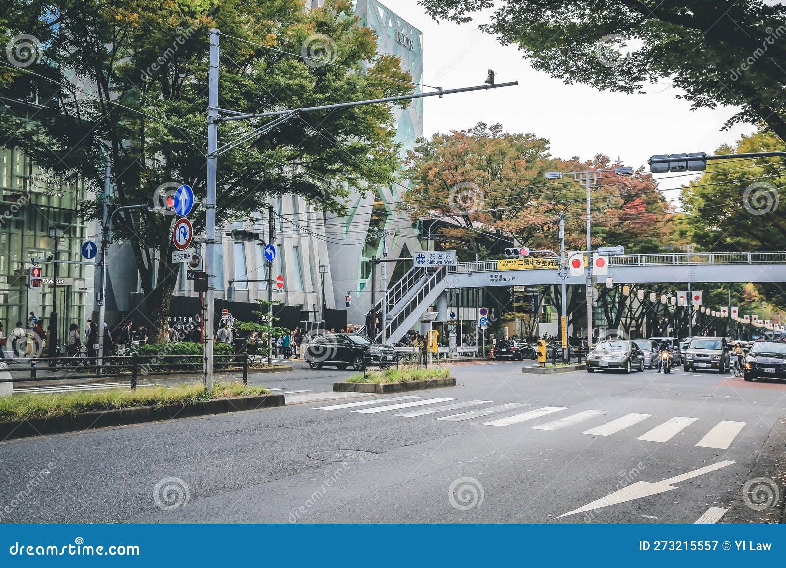 3 Nov 2013 Street View of Omotesando Hills and Rows Editorial ...