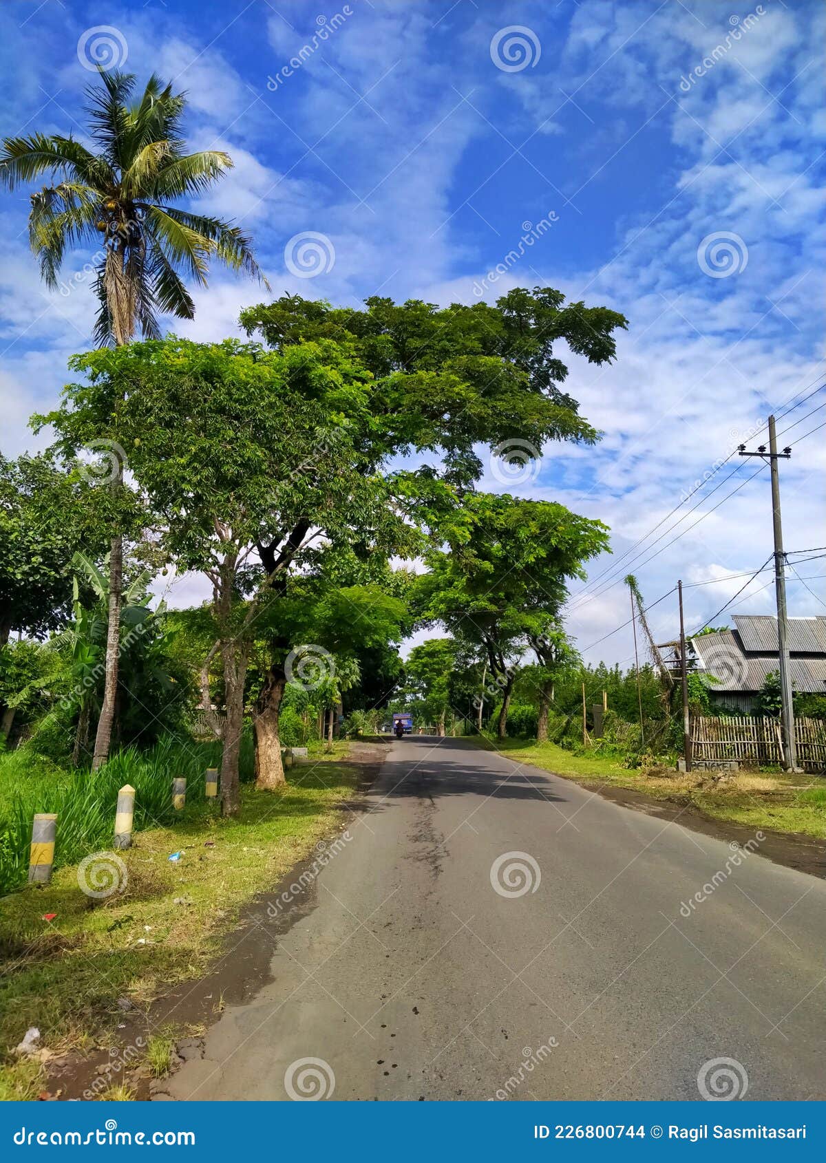 Street View of Trees and Clouds in Indonesia Stock Photo - Image of ...