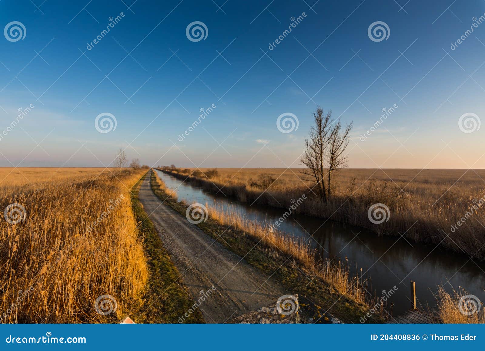 Street and a Waterway Parallel with Reed and Sky Stock Photo - Image of ...