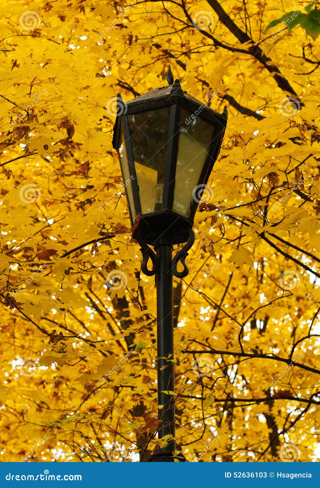 Streetlight in the Autumn Park Stock Image - Image of street, retro ...