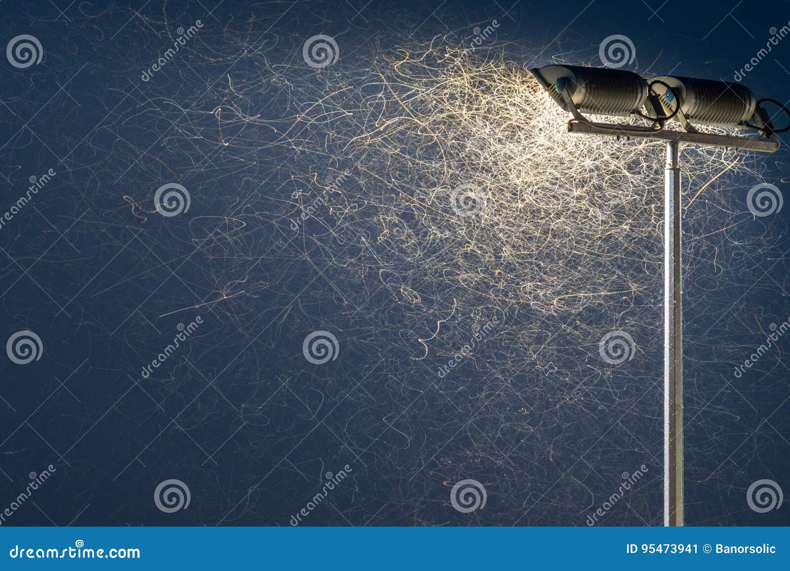 Streetlight, Insect Light Trail Under Lamp by Night. Stock Image ...