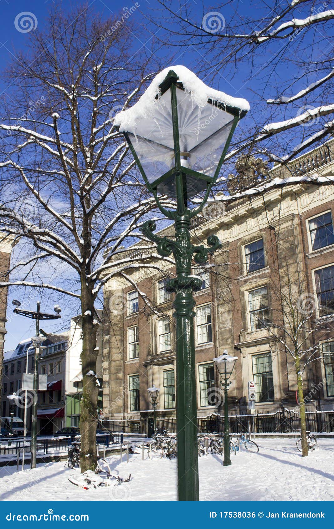 Streetlight in the Snow stock photo. Image of streetlight - 17538036