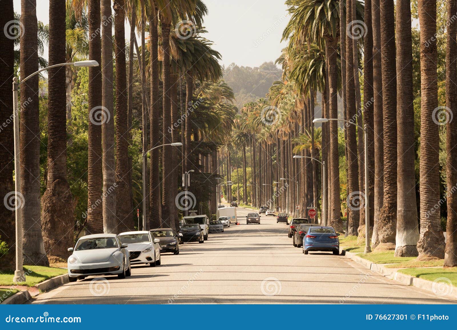 Streets of Beverly Hills in California Stock Image - Image of city ...