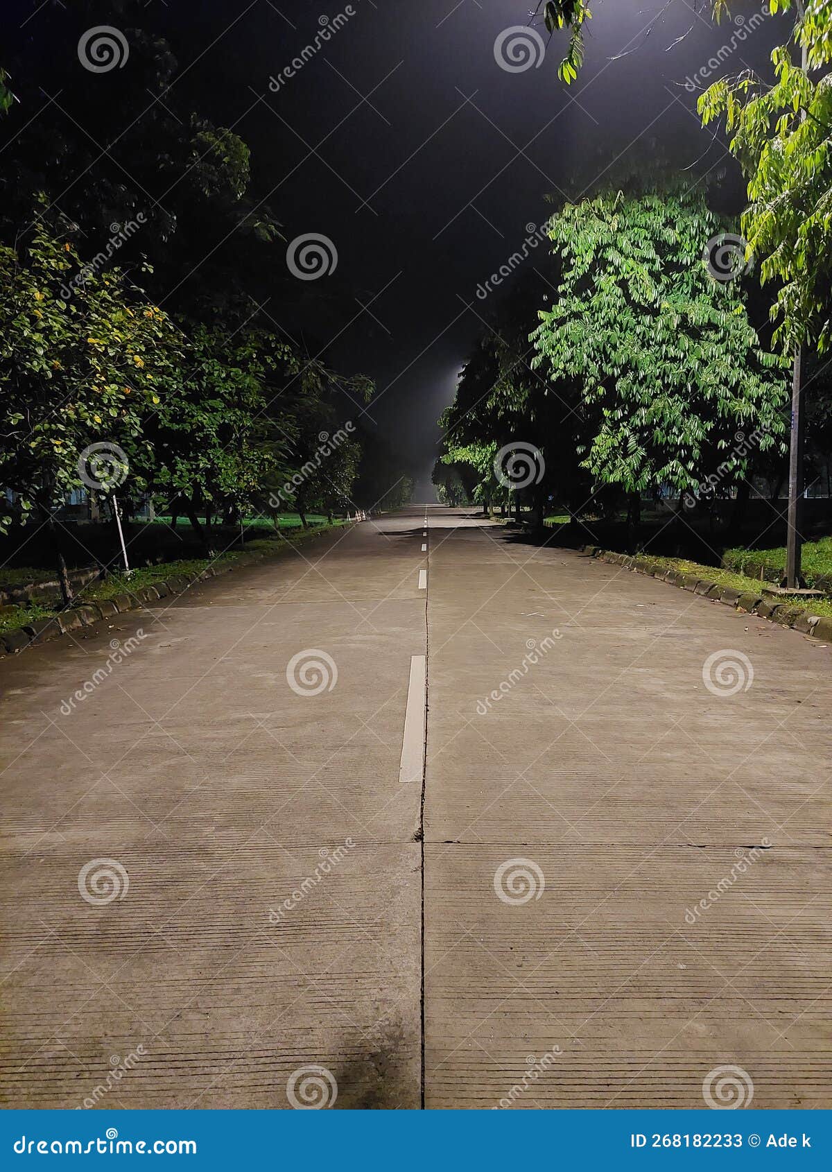The streets at night stock image. Image of trees, streets - 268182233