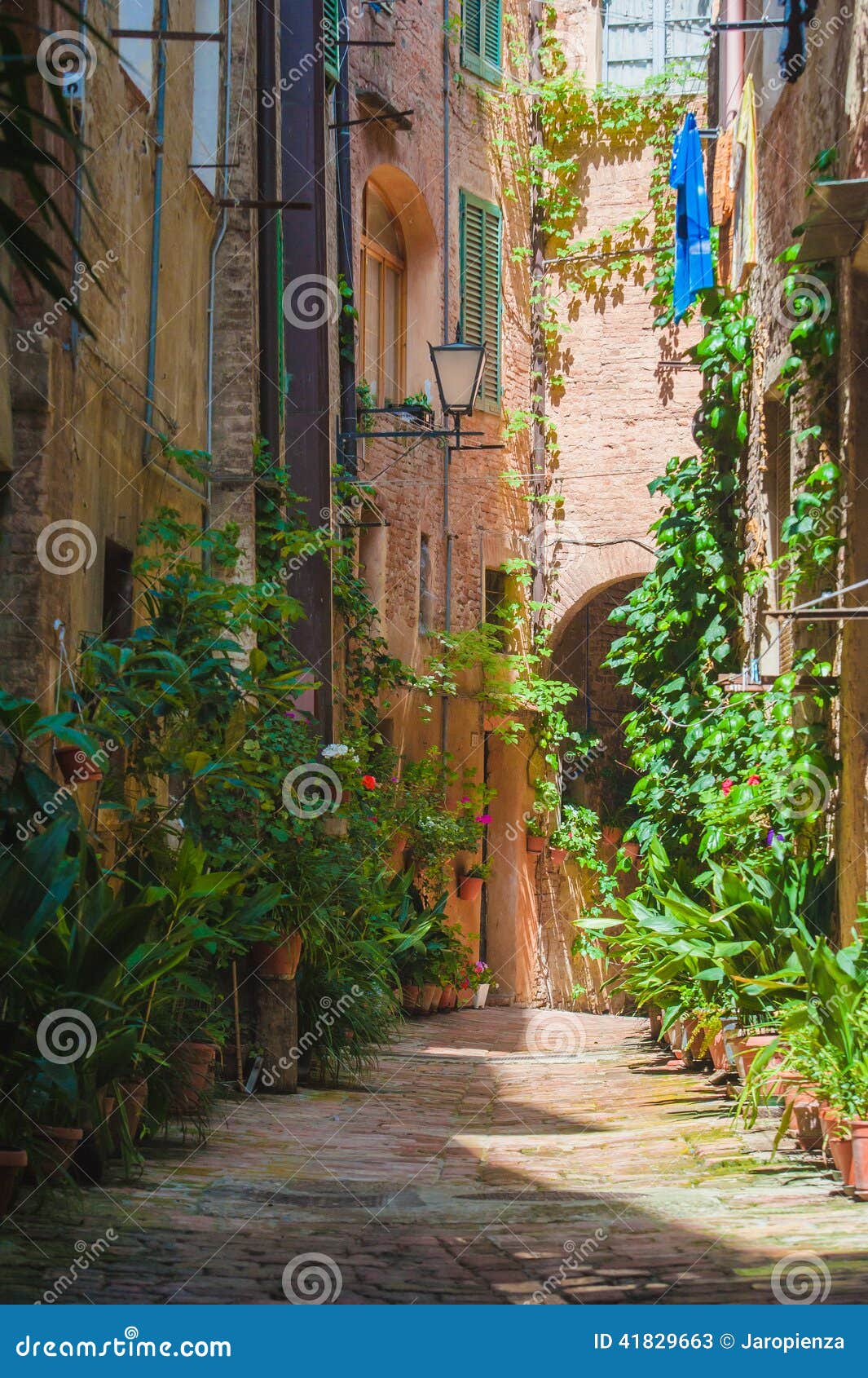 The Streets of the Old Italian City of Siena Stock Image - Image of ...