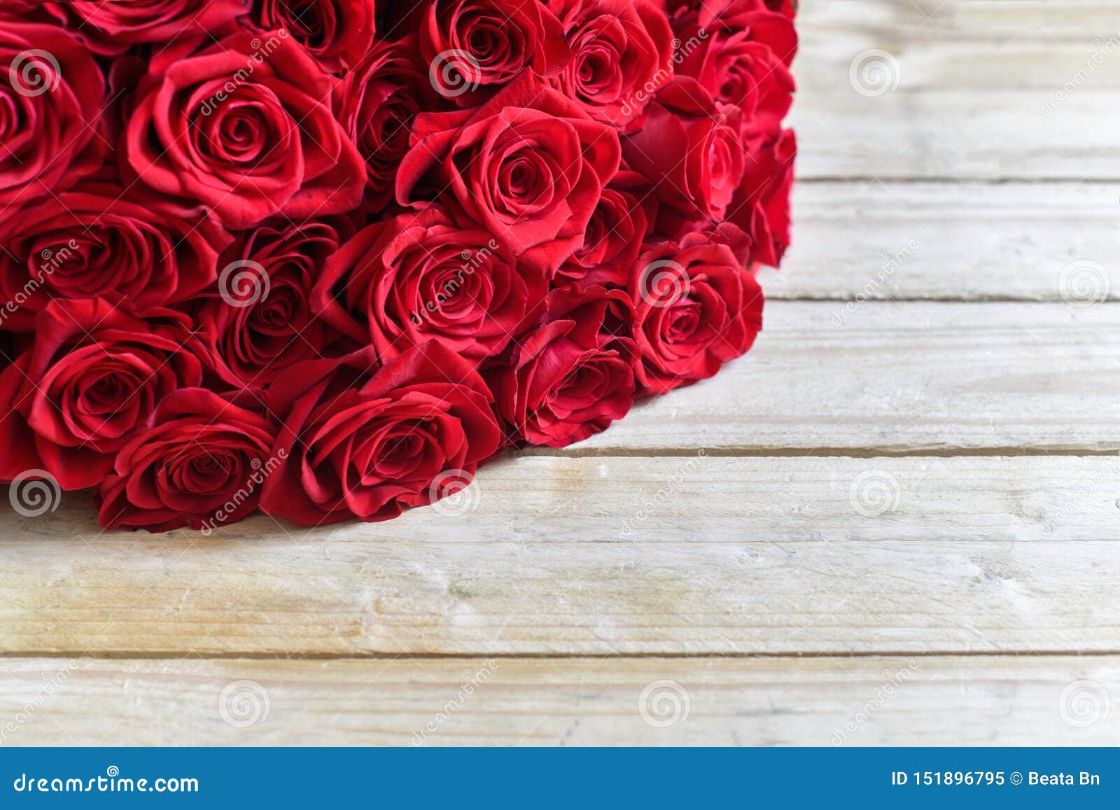 Big bunch of red roses stock image. Image of closeup - 151896795