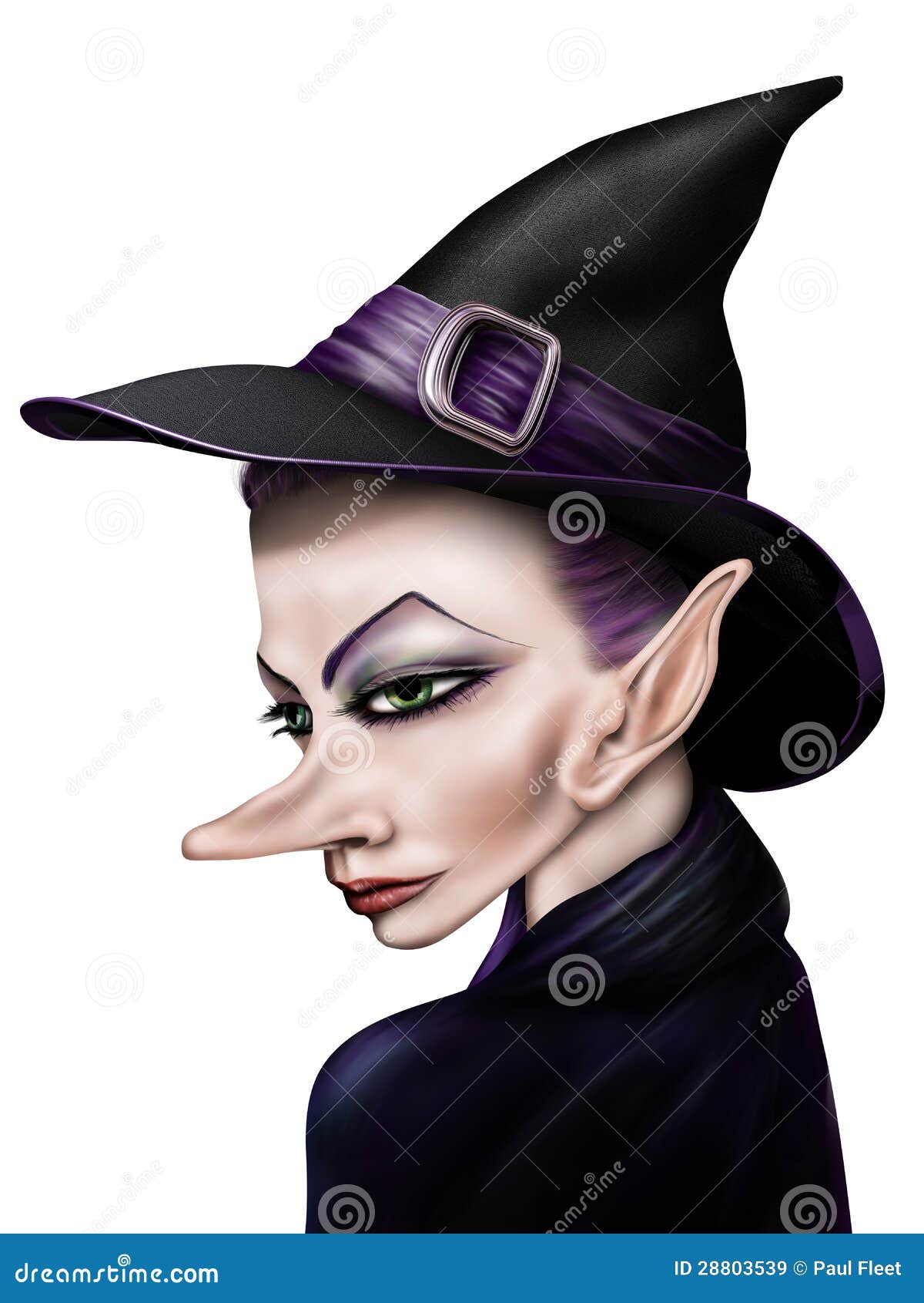 Strega illustrazione di stock. Illustrazione di caricatura - 28803539