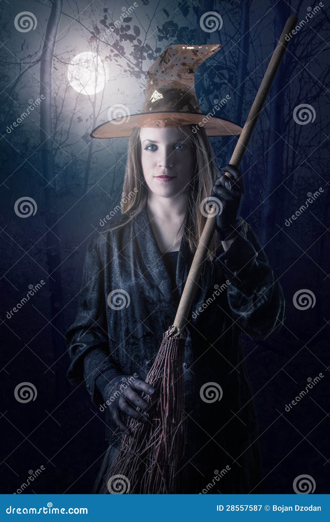 Strega con la luna piena immagine stock. Immagine di strega - 28557587
