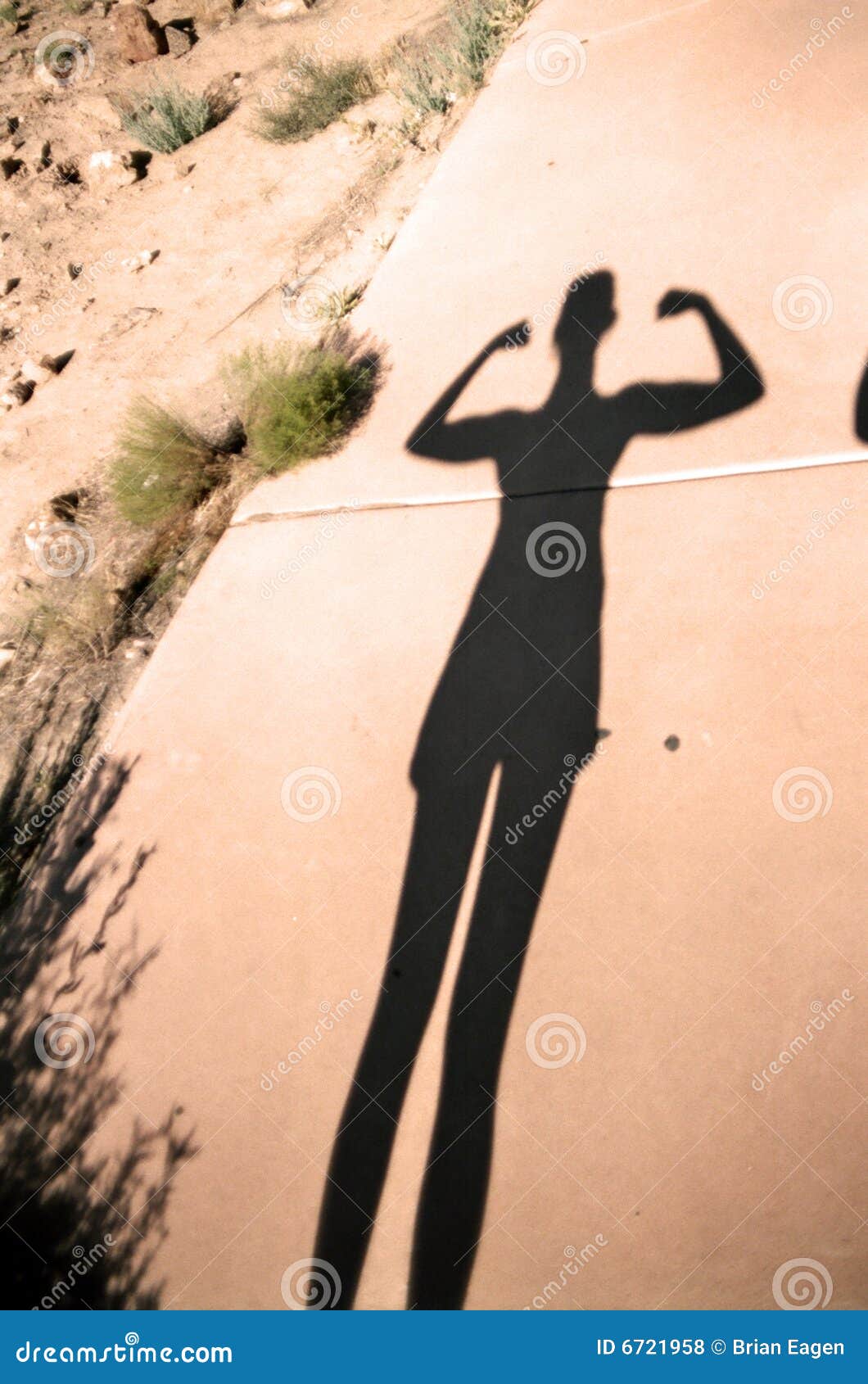 Strength in Shadow stock photo. Image of nature, muscle - 6721958