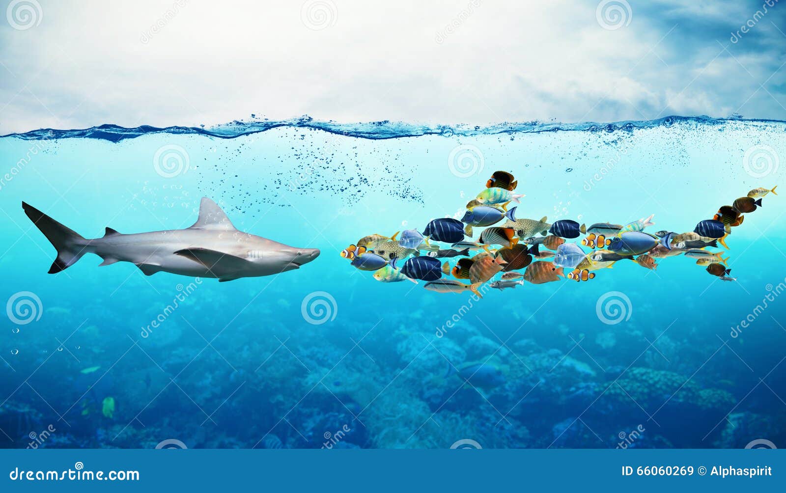 The strength of the union stock image. Image of determined - 66060269