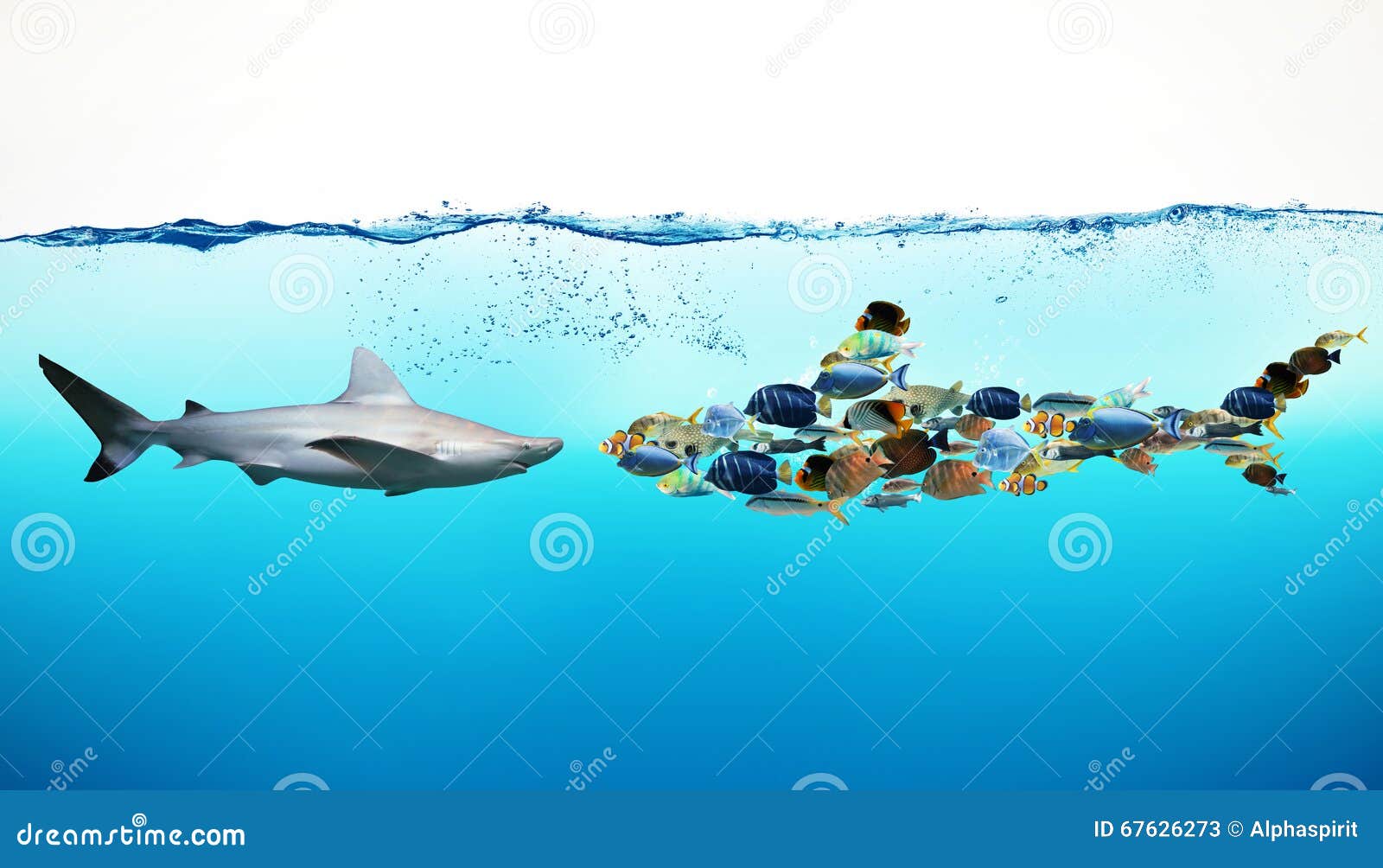 The strength of the union stock image. Image of connect - 67626273