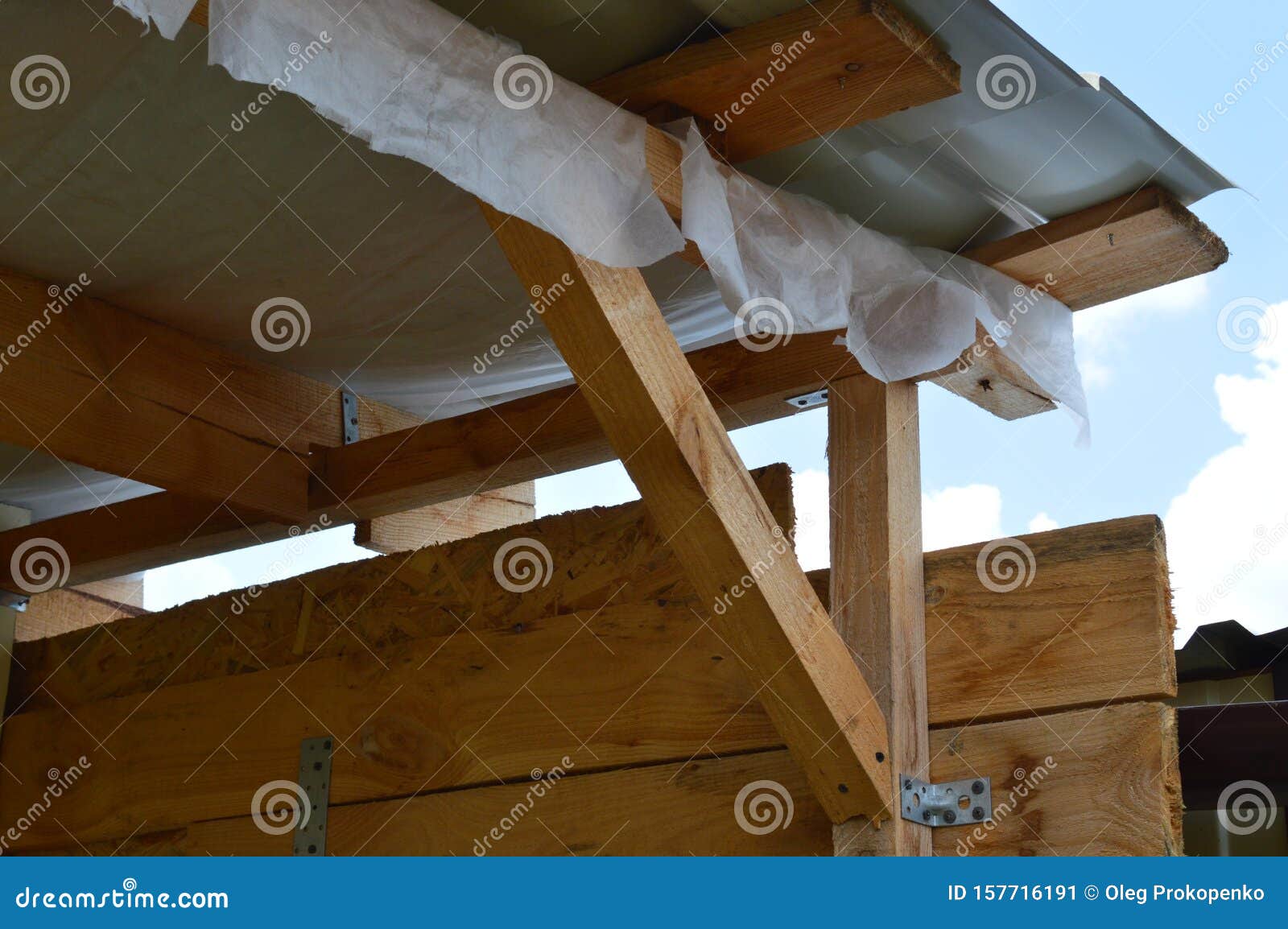 Fasteners And Building Materials For The Roof. Roofing Long Metal Nails ...