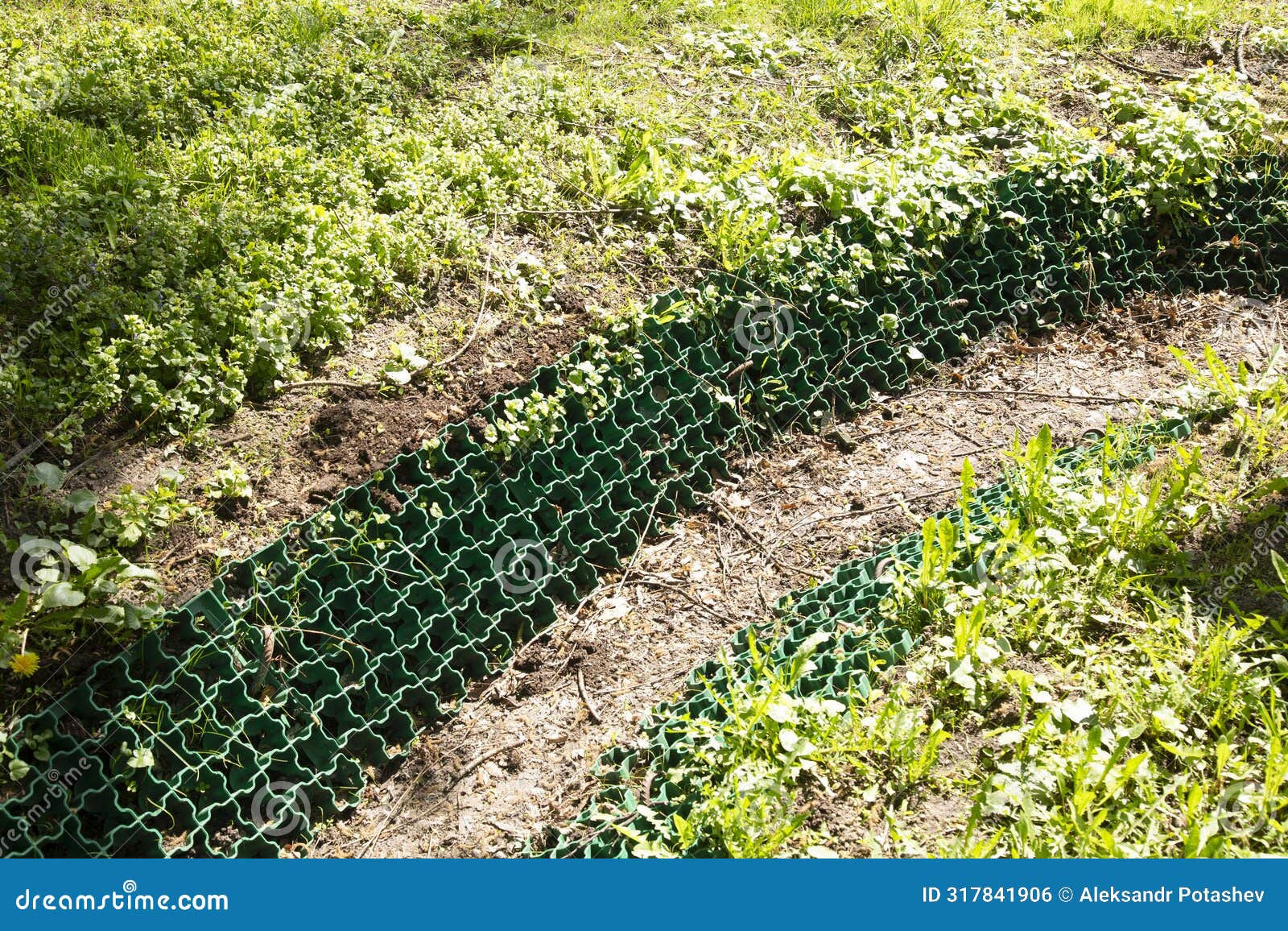 Strengthening of the Soil from Collapse.a Special Mesh for ...