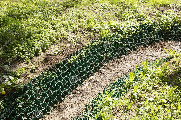 Strengthening of the Soil from Collapse.a Special Mesh for ...