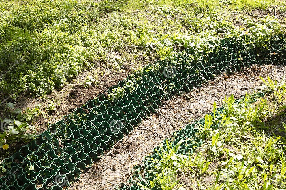 Strengthening of the Soil from Collapse.a Special Mesh for ...