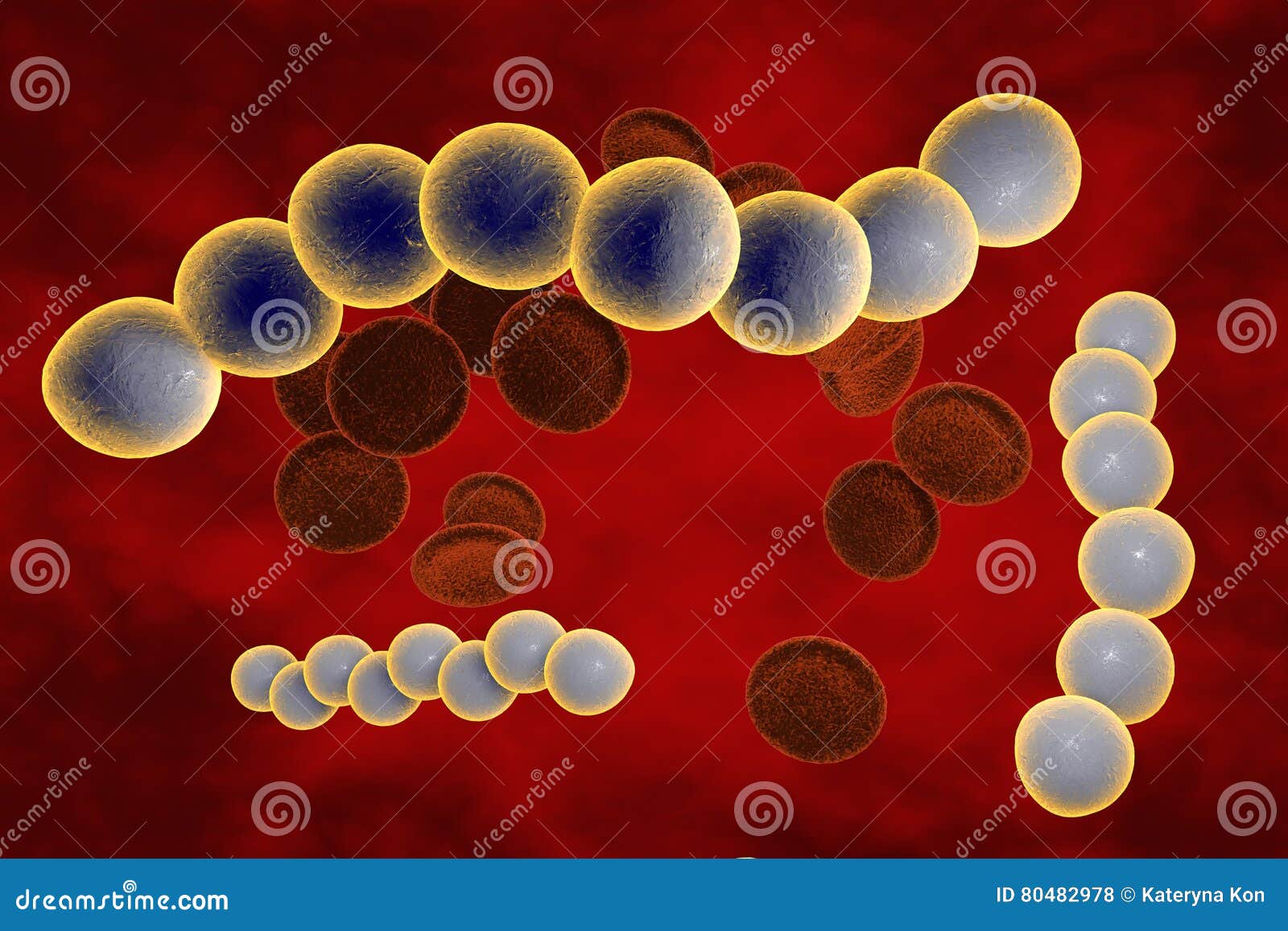 Streptococchi Batteri Nel Sangue Illustrazione di Stock - Illustrazione ...