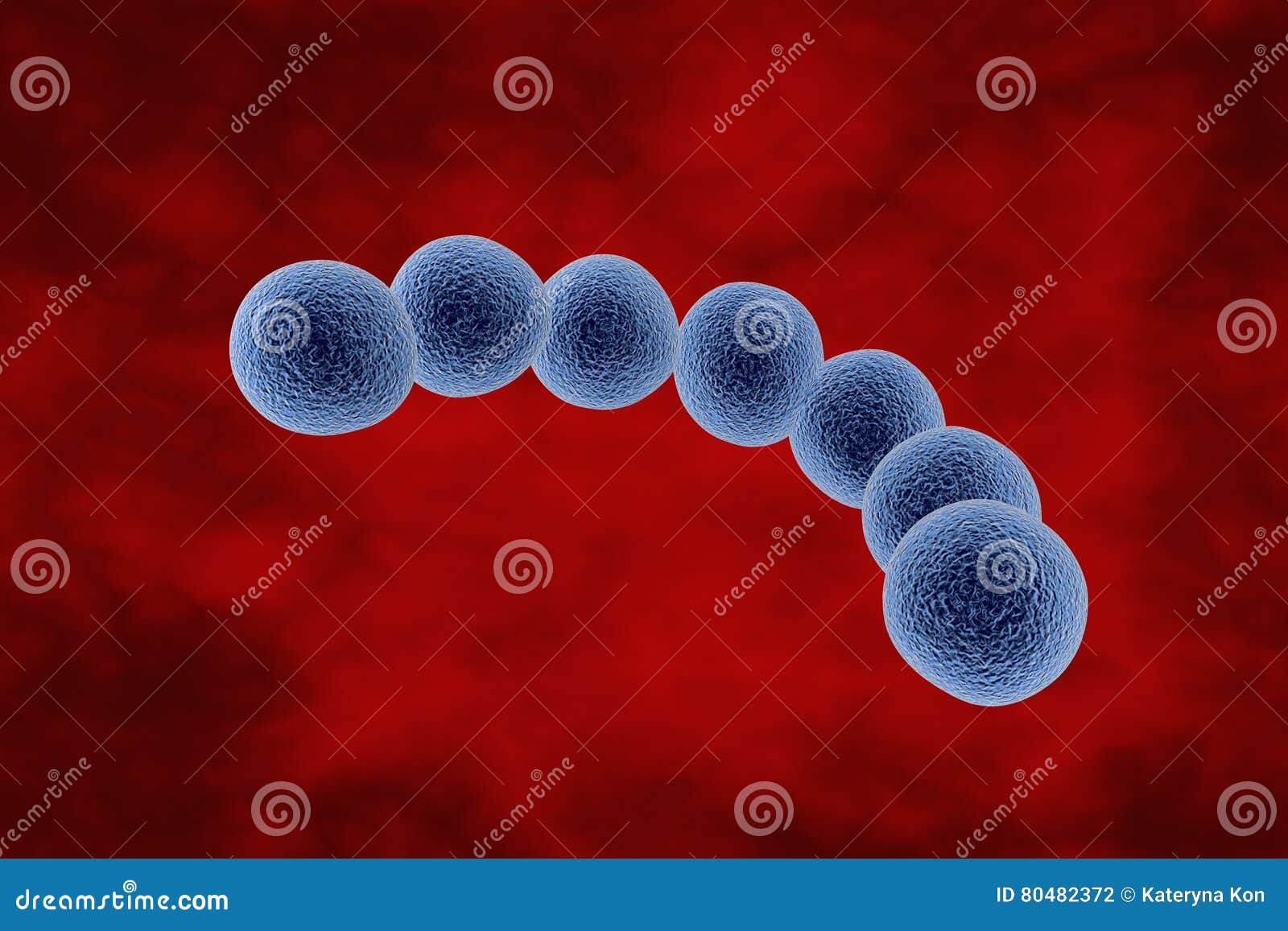 Streptococci Bacteria in Blood Stock Illustration - Illustration of ...