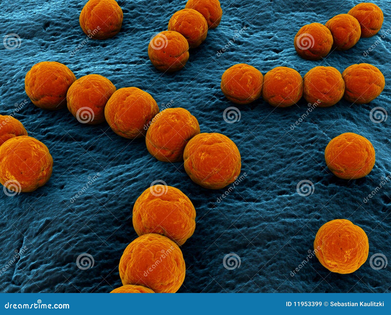 Streptococco illustrazione di stock. Illustrazione di microscopico ...