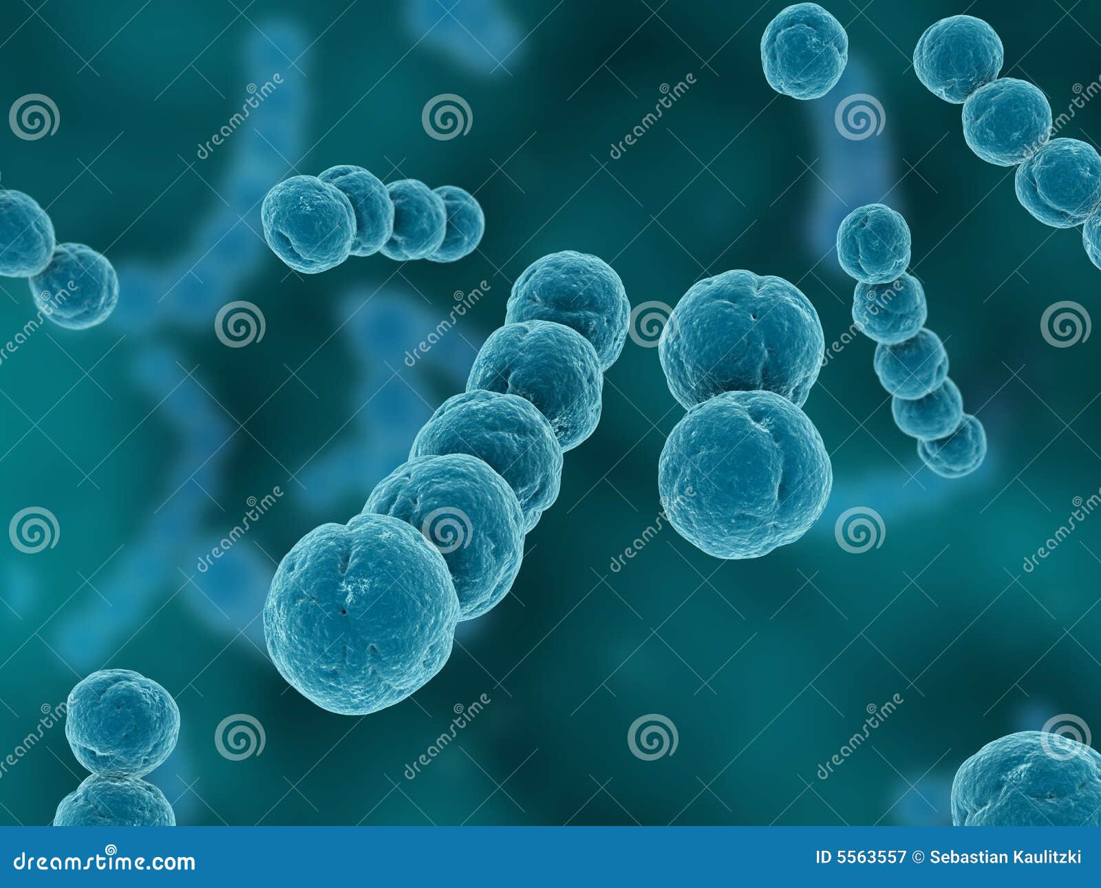 Streptococco illustrazione di stock. Illustrazione di infezione - 5563557