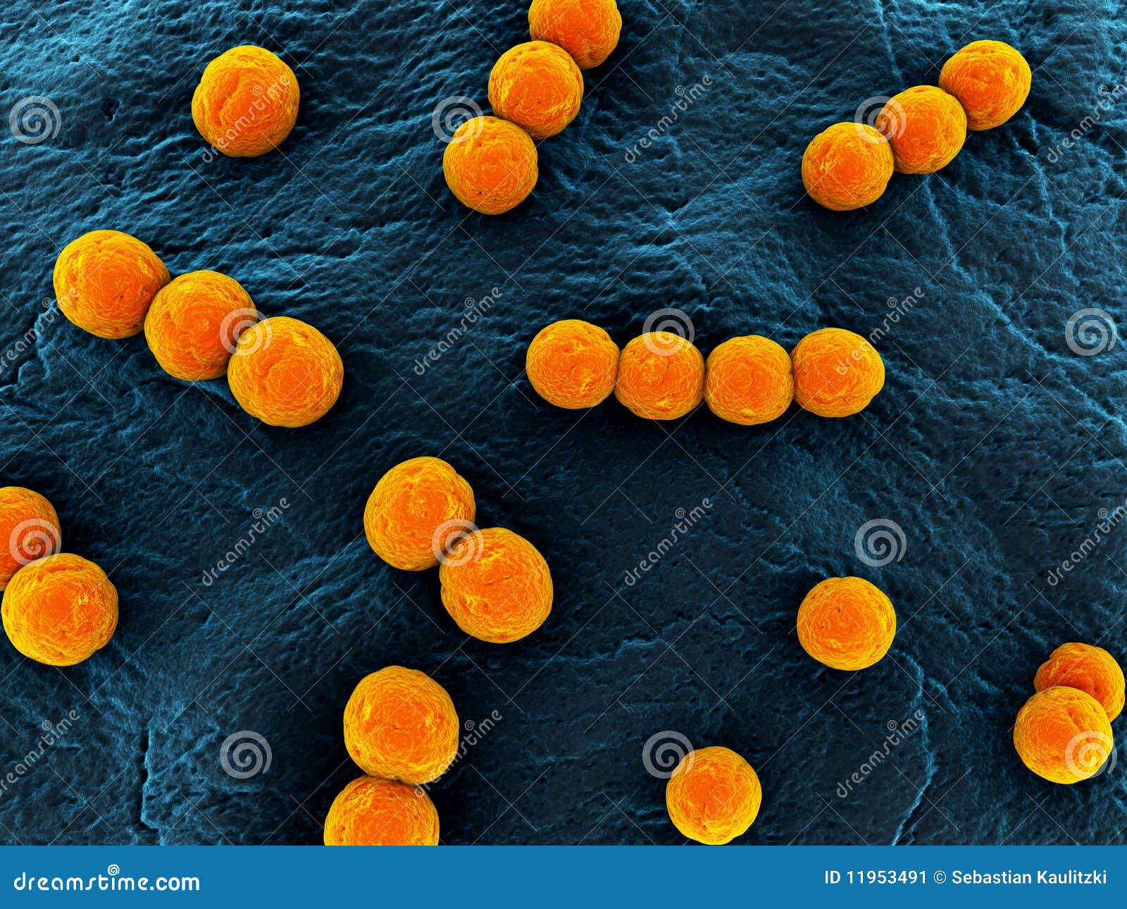Streptococcus stock illustration. Illustration of science - 11953491
