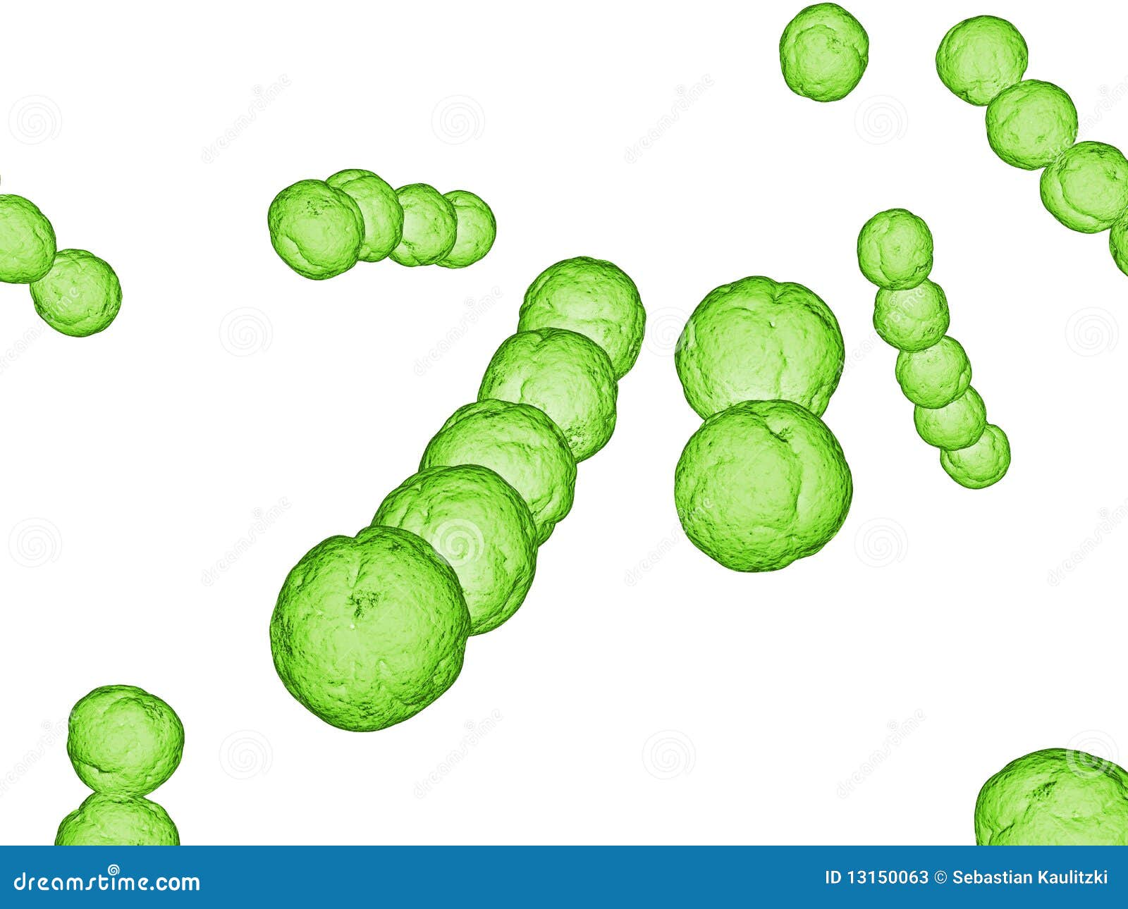 Streptococcus Vector Illustration | CartoonDealer.com #9679580