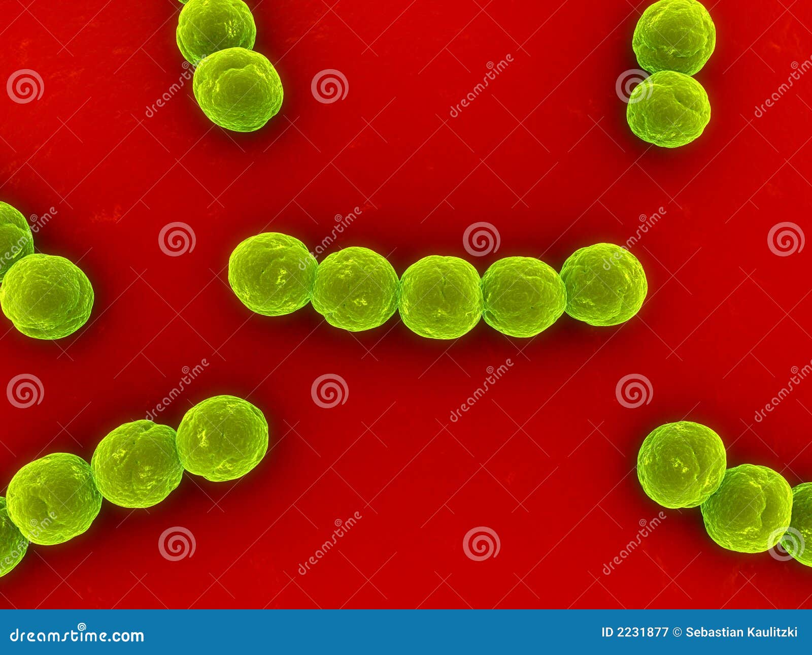 Streptococcus stock illustration. Illustration of pathogen - 2231877