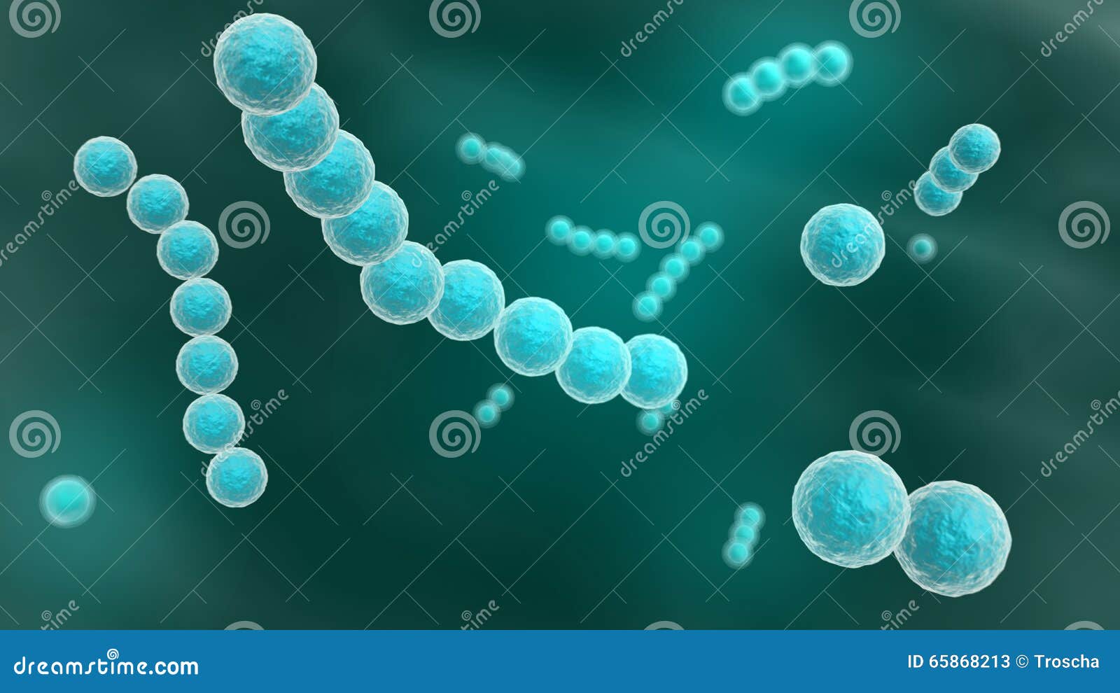 Streptococcus stock illustration. Illustration of microscope - 65868213