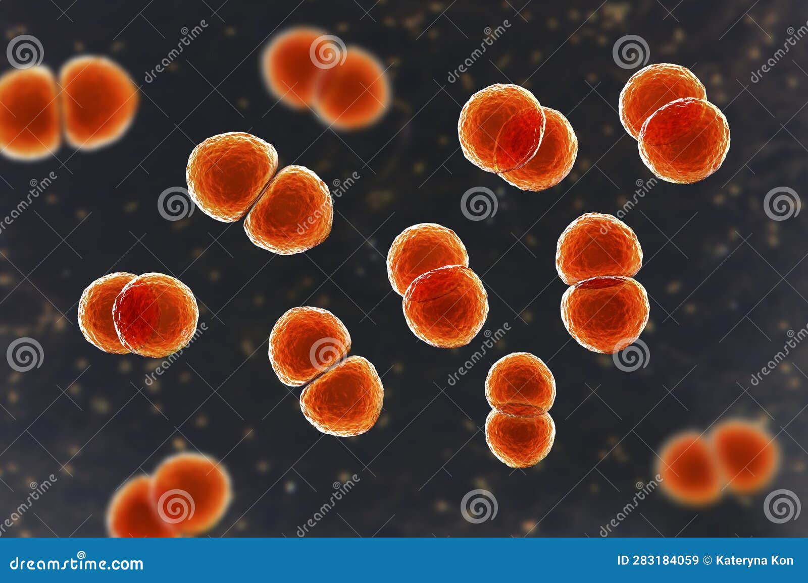 Streptococcus Pneumoniae Bacteria, 3D Scientific Illustration Stock ...