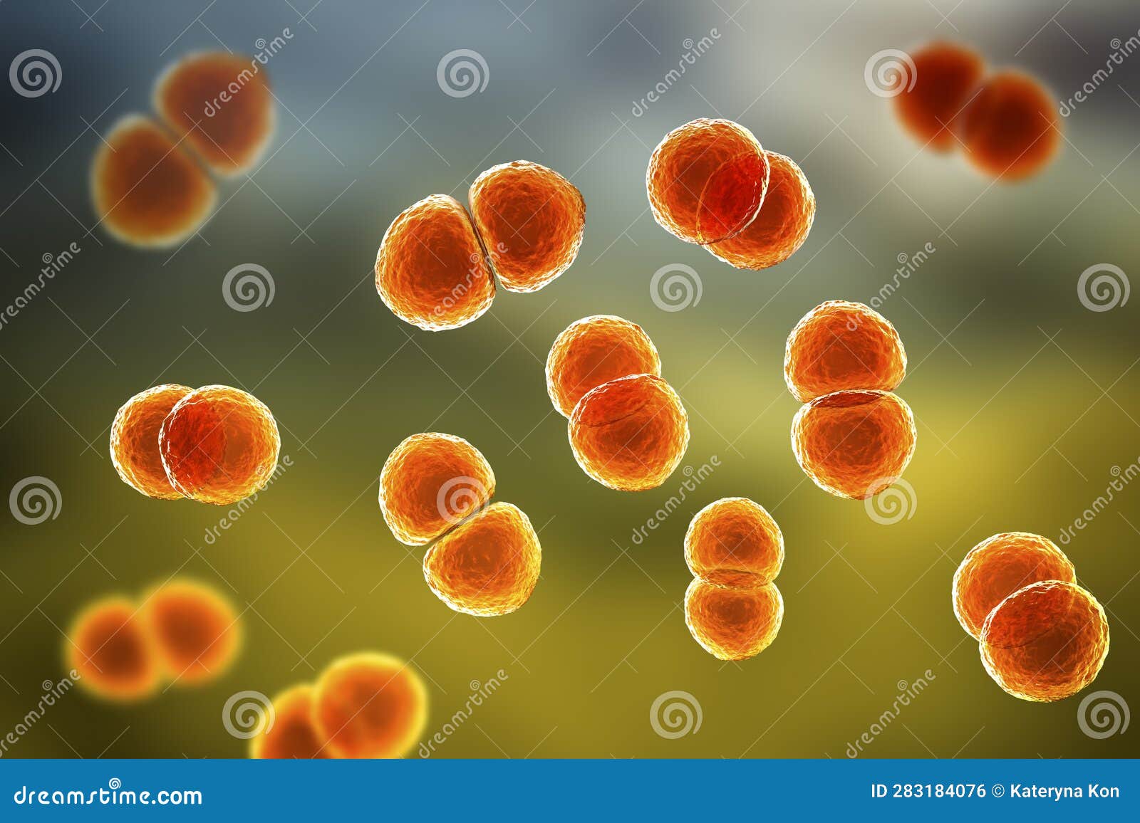 Streptococcus Pneumoniae Bacteria, 3D Scientific Illustration Stock ...