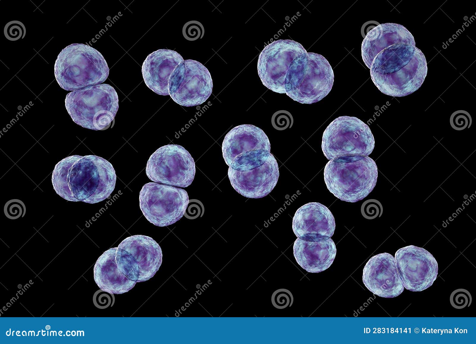 Streptococcus Pneumoniae Bacteria, 3D Scientific Illustration Stock ...