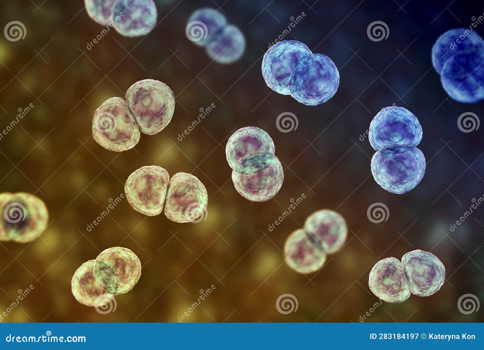 Streptococcus Pneumoniae Bacteria, 3D Scientific Illustration Stock ...