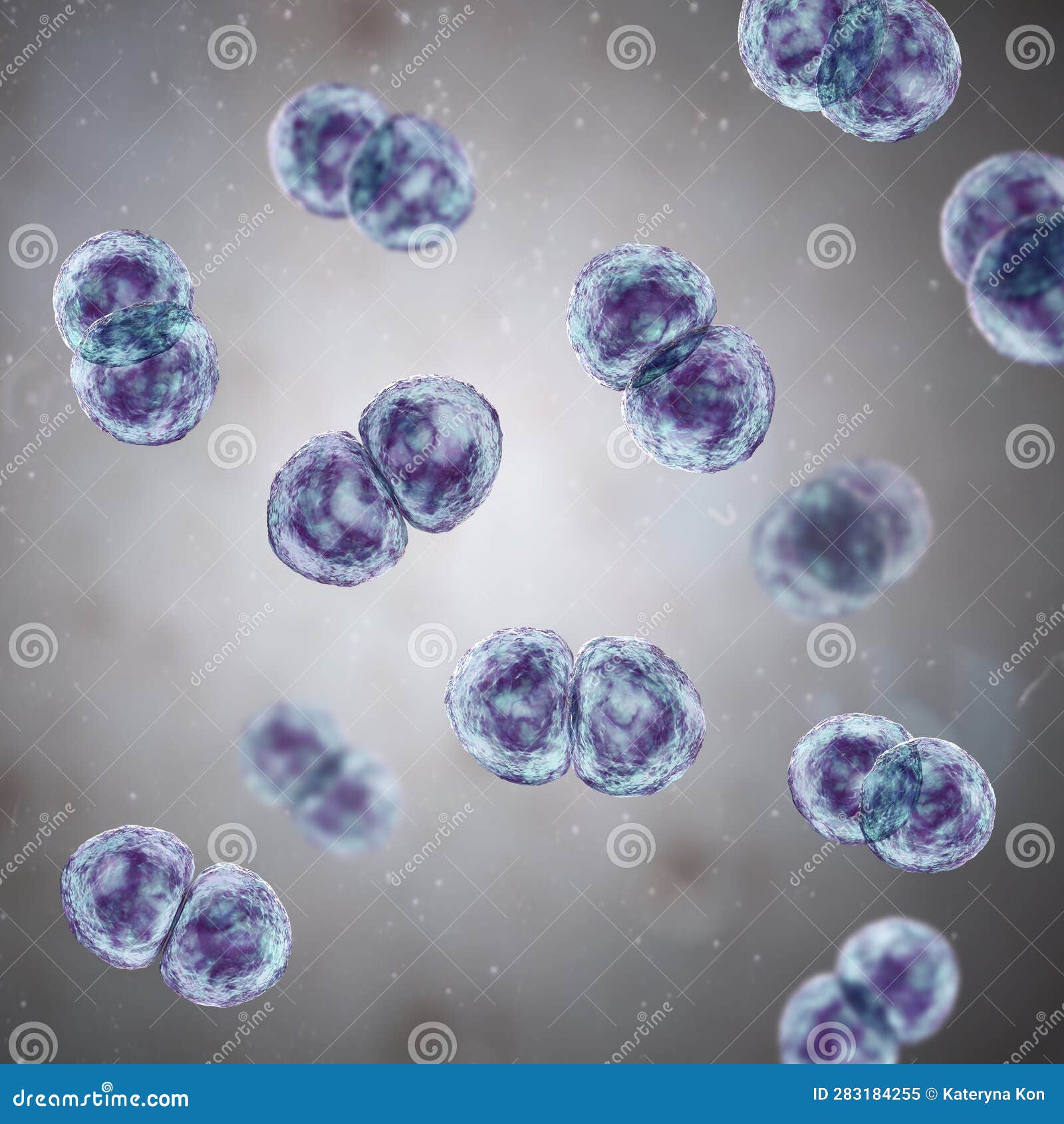 Streptococcus Pneumoniae Bacteria, 3D Scientific Illustration Stock ...