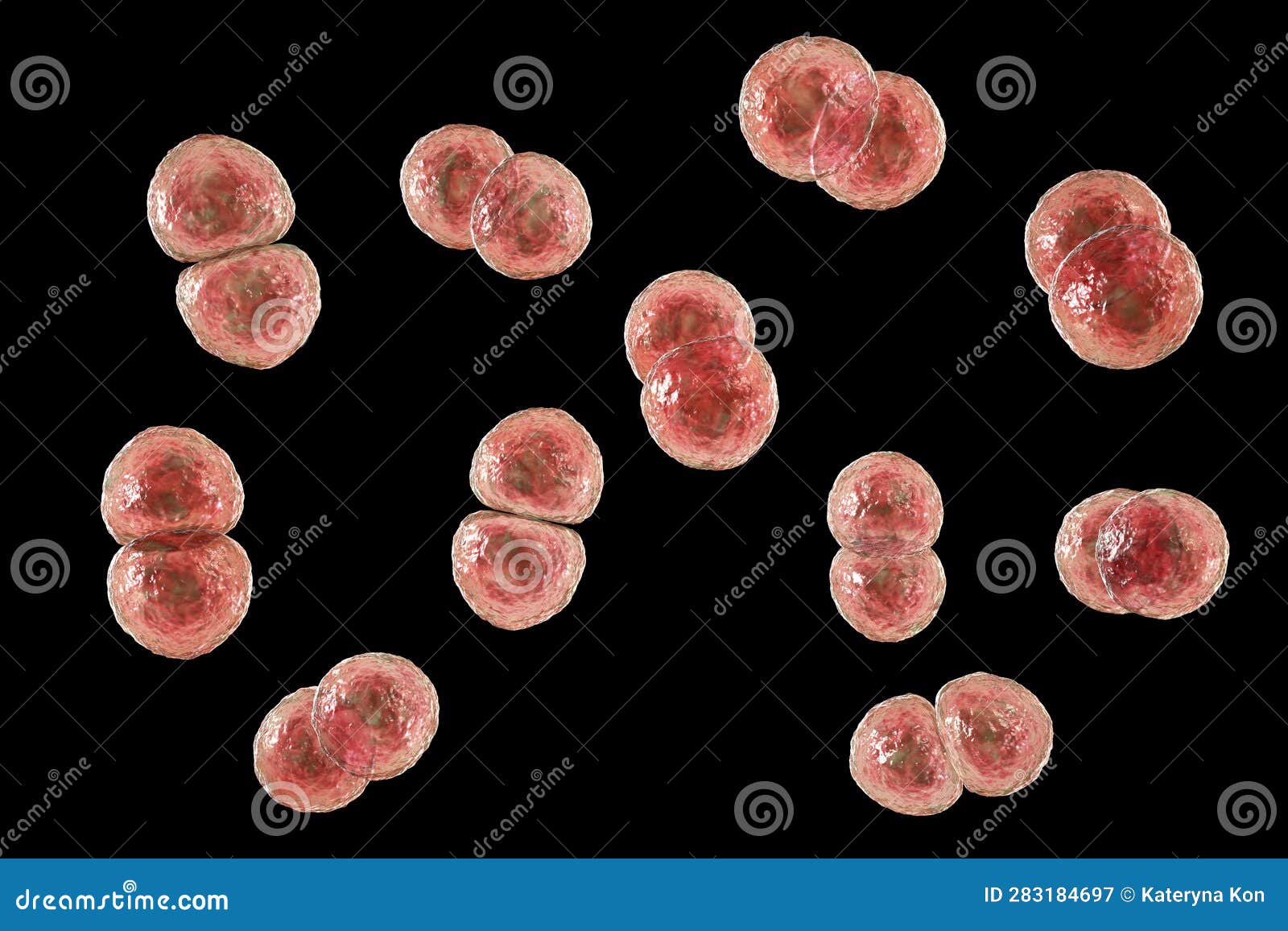 Streptococcus Pneumoniae Bacteria, 3D Scientific Illustration Stock ...