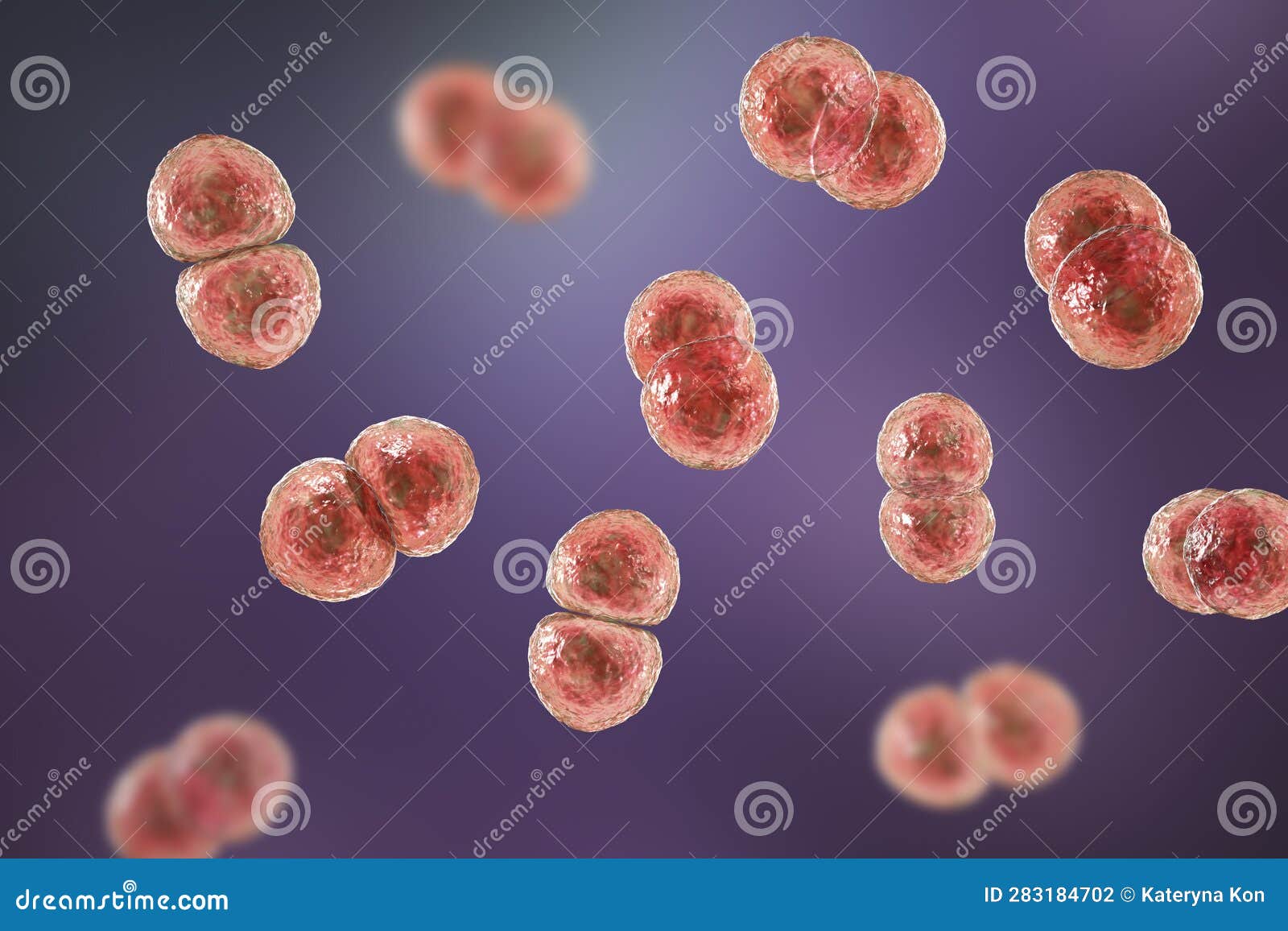 Streptococcus Pneumoniae Bacteria, 3D Scientific Illustration Stock ...