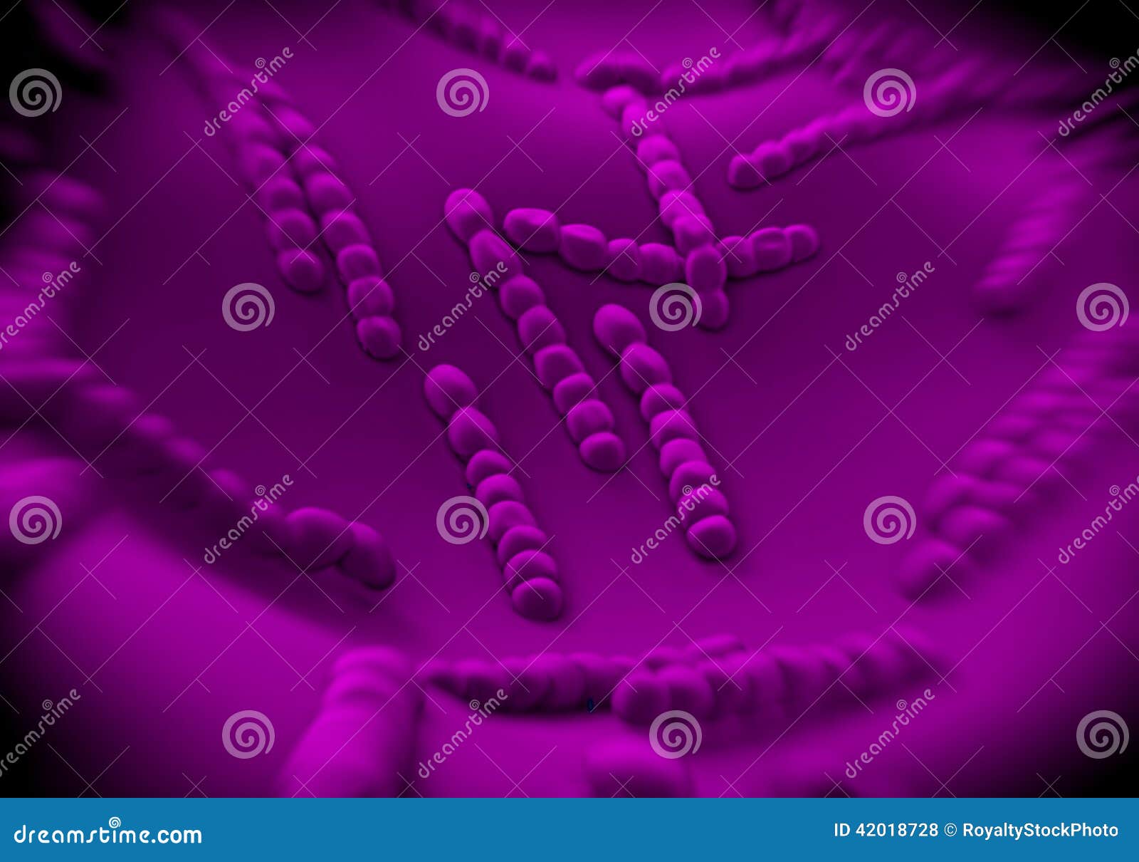 Streptococcus Pneumoniae, Bacteria Artwork Stock Illustration ...