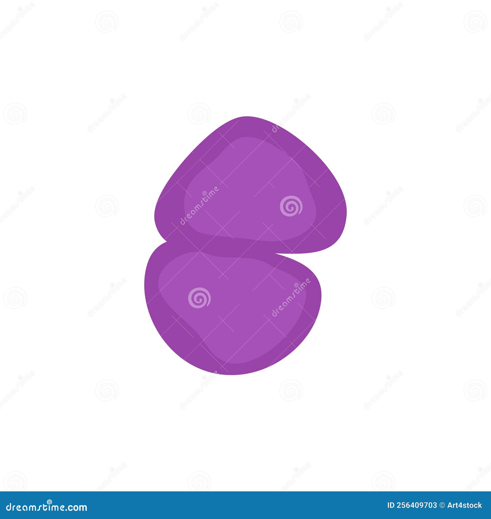 Streptococcus Bacteria Diagram