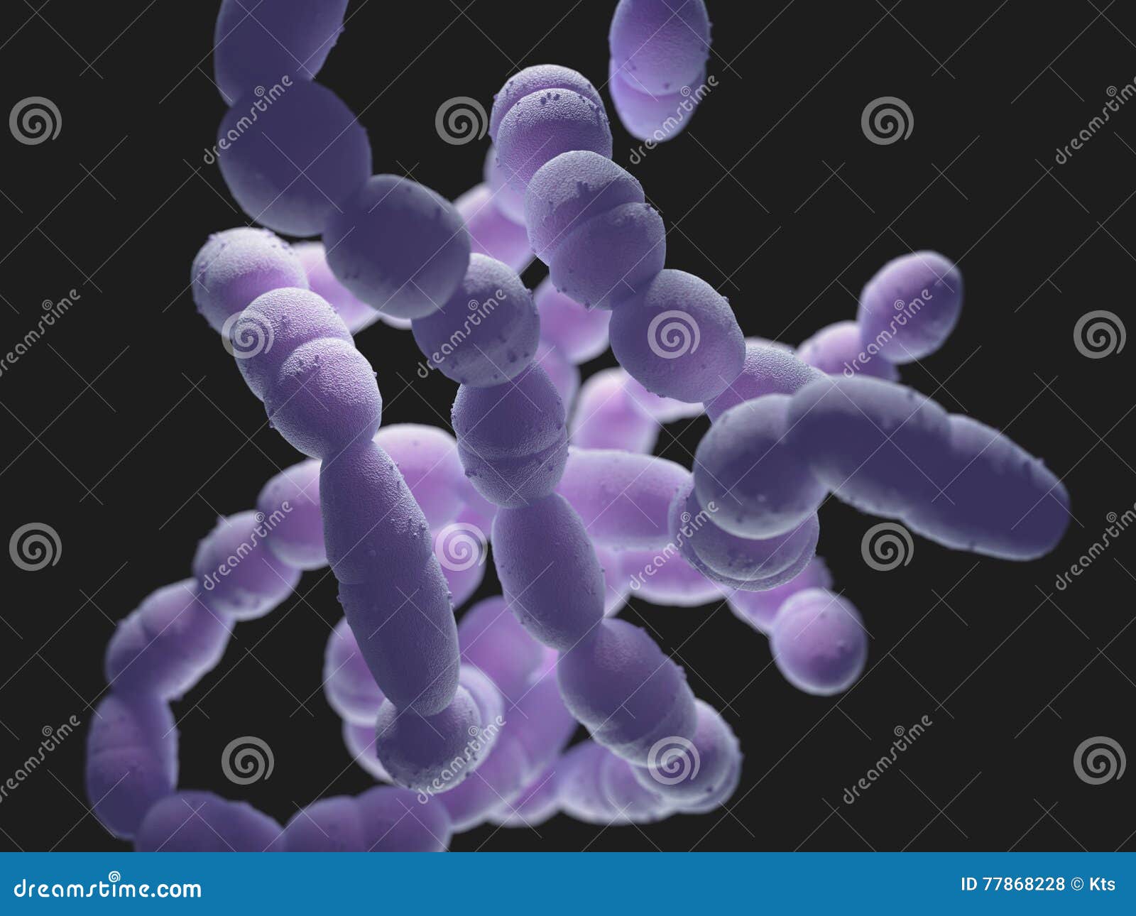 Streptococcus Pneumoniae Bacteria Stock Illustration - Illustration of ...