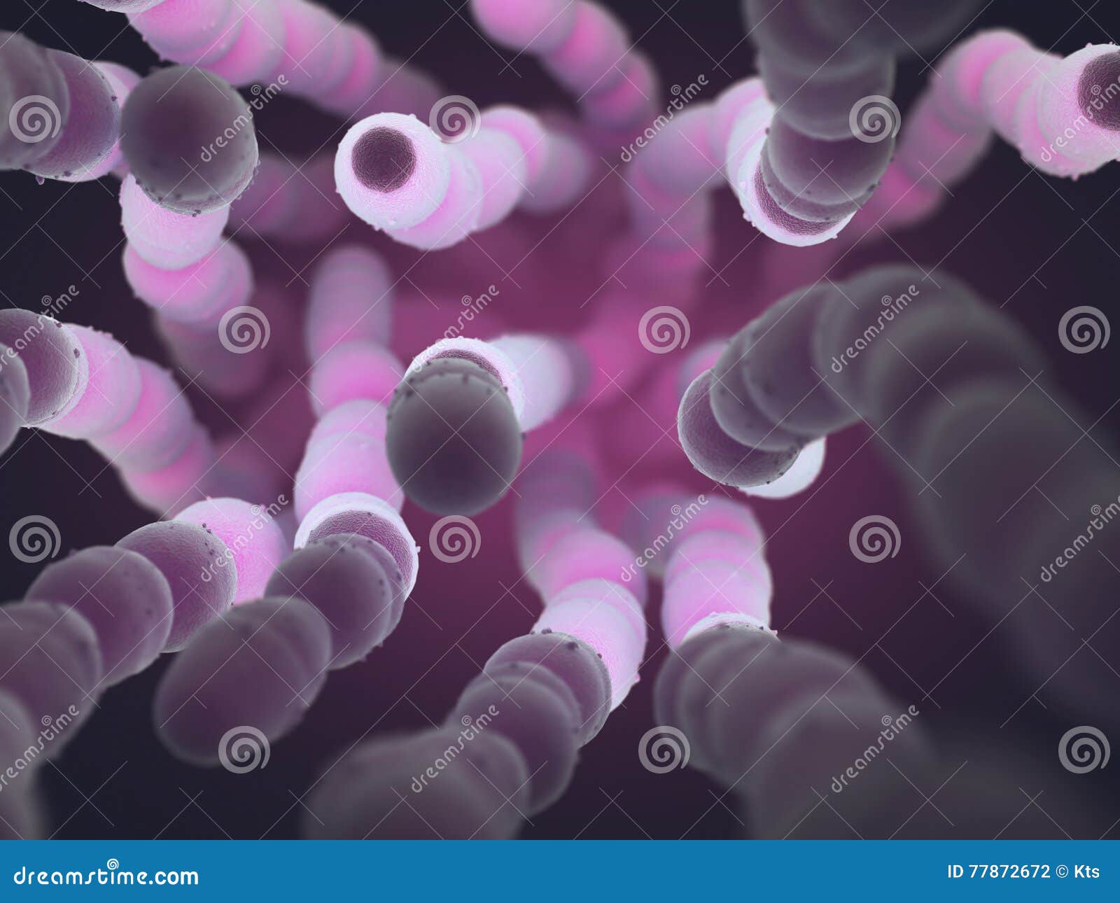 Streptococcus Pneumoniae Bacteria Stock Photo - Image of disease, gram ...