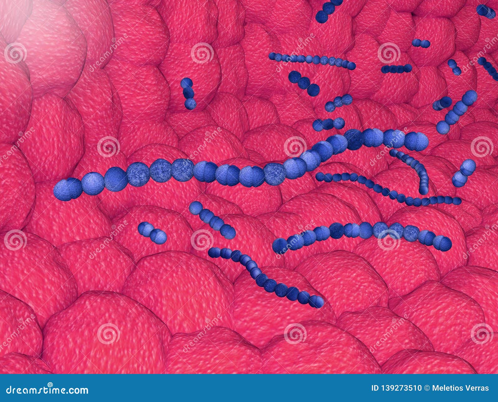 Streptococcus pyogenes stock de ilustración. Ilustración de biomedecina ...