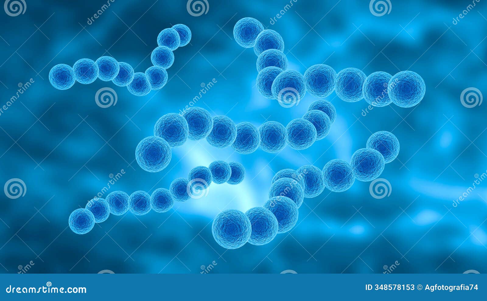 Streptococcus Pyogenes is a Highly Infectious Pathogenic Bacterium that ...