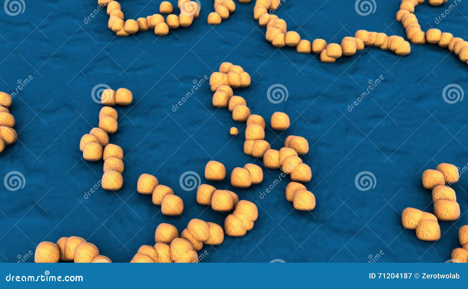 Streptococcus stock video. Video of cell, genetic, genetically - 71204187