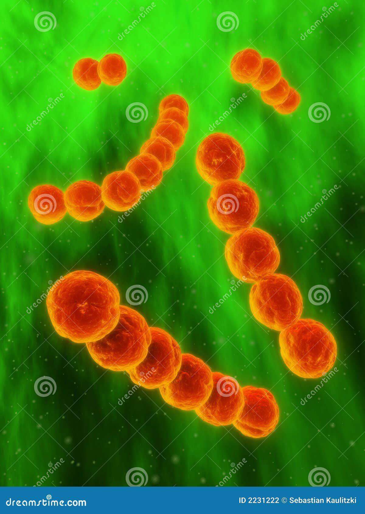 Streptocoque illustration stock. Illustration du illustration - 2231222