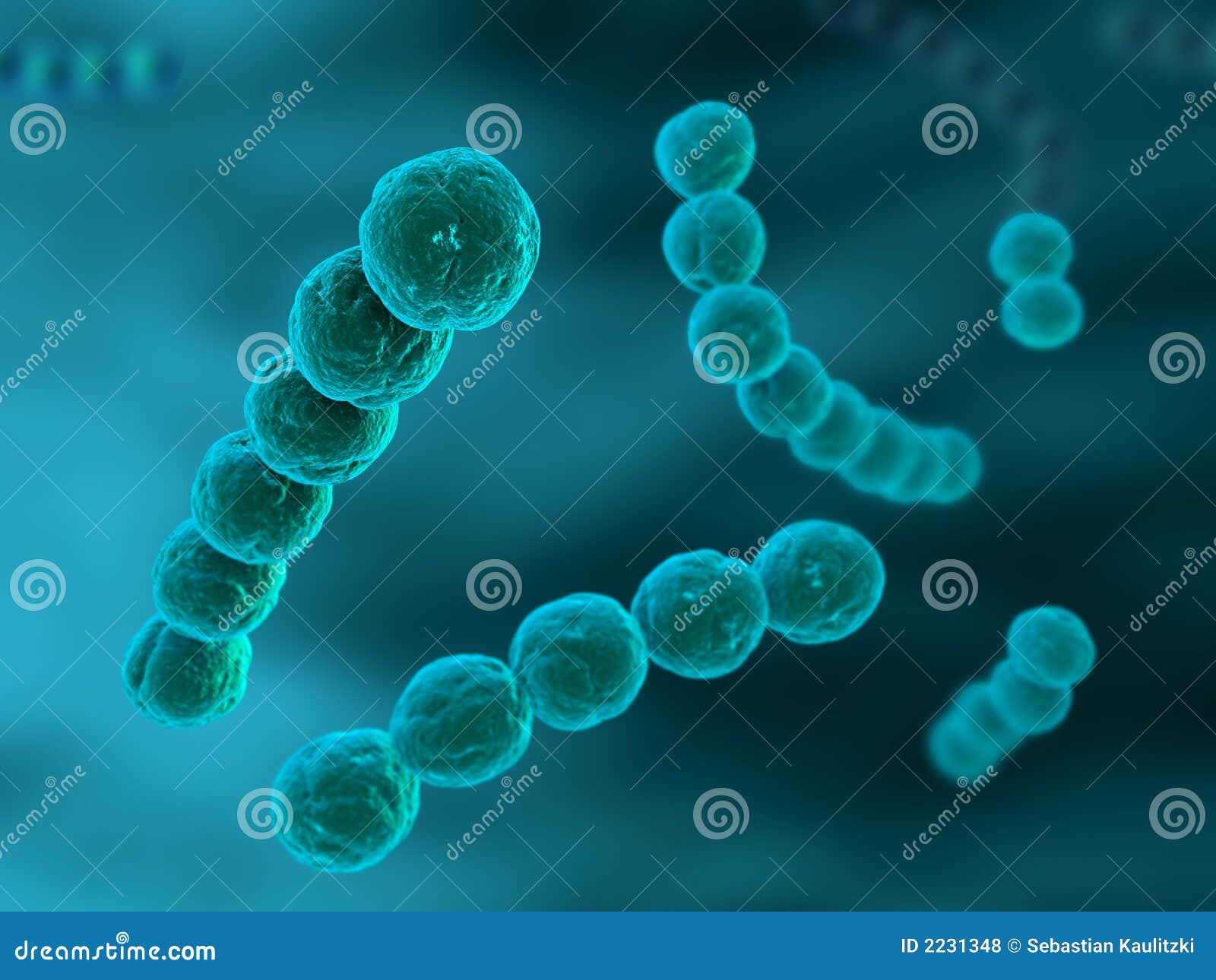 Streptocoque illustration stock. Illustration du cellulaire - 2231348