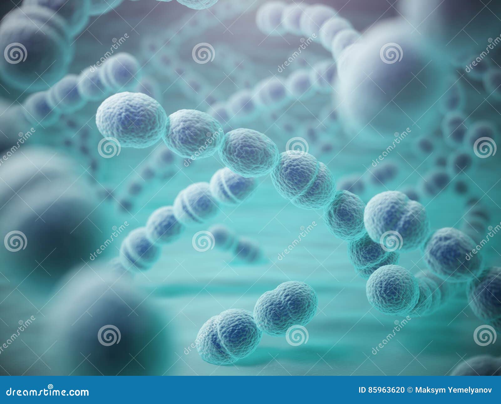 Streptocoque Pneumoniae Ou Bacterias De Pneumococcus Illustration Stock ...