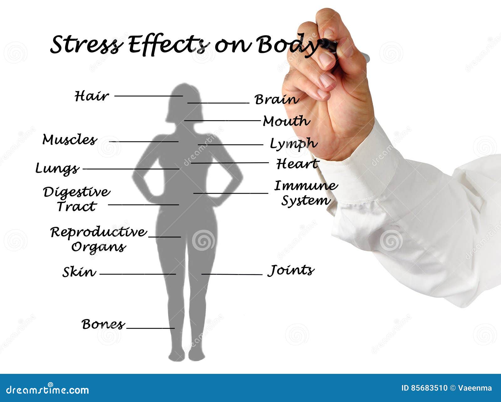 Stress Effects on Body stock photo. Image of lecturer - 85683510