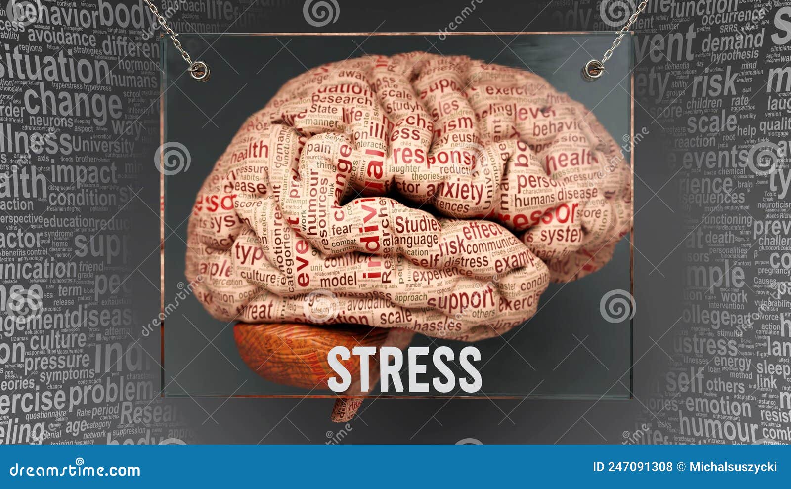 Stress in human brain stock illustration. Illustration of mind - 247091308